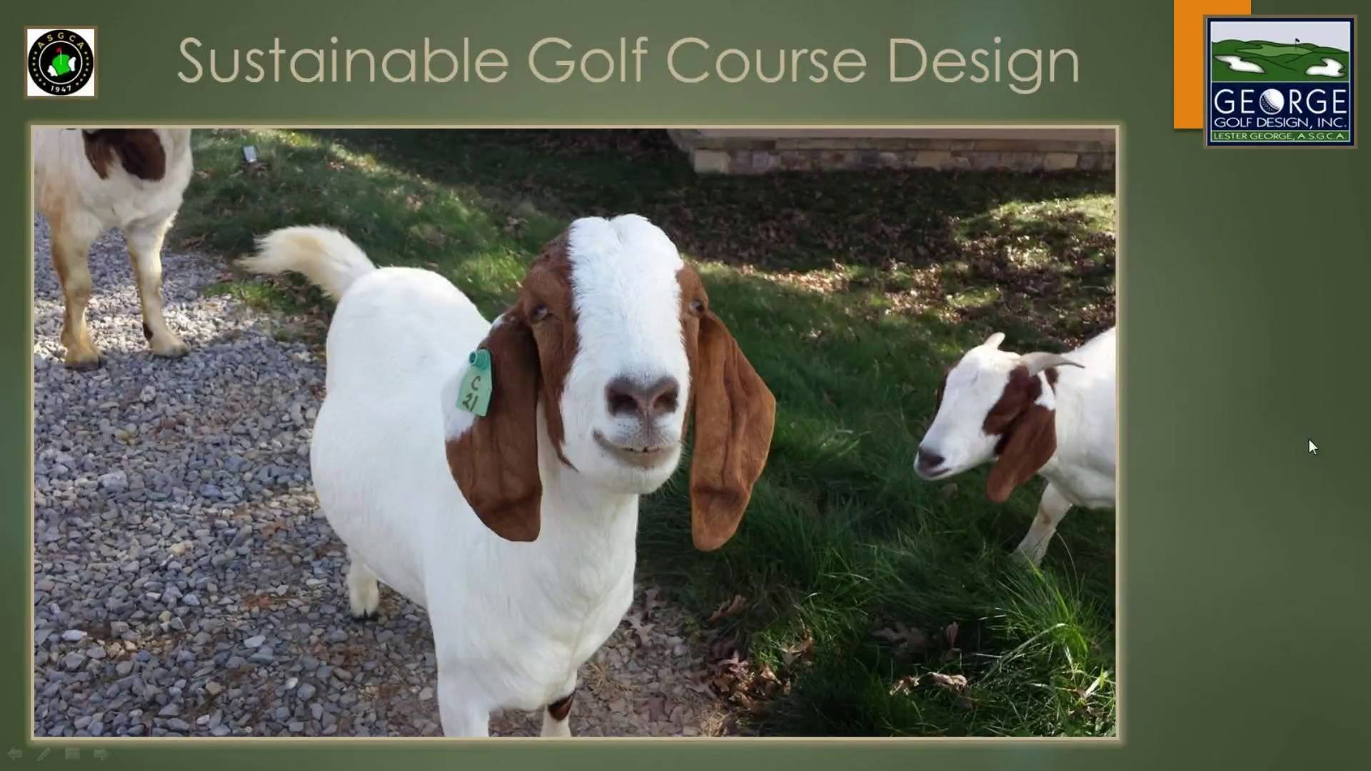 Golf course design and sustainability for the future - Webinar Archives ...