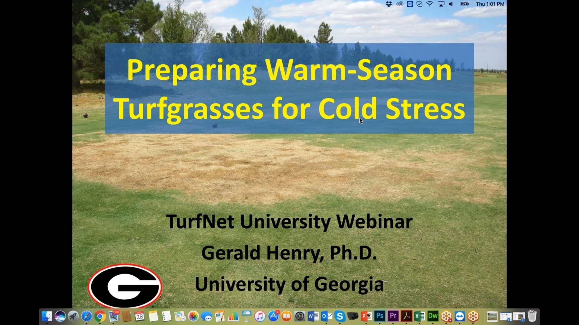 Winter prep: Preparing warm-season turfgrasses for cold stress ...