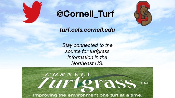 2018: Year in review - Webinar Archives - TurfNet