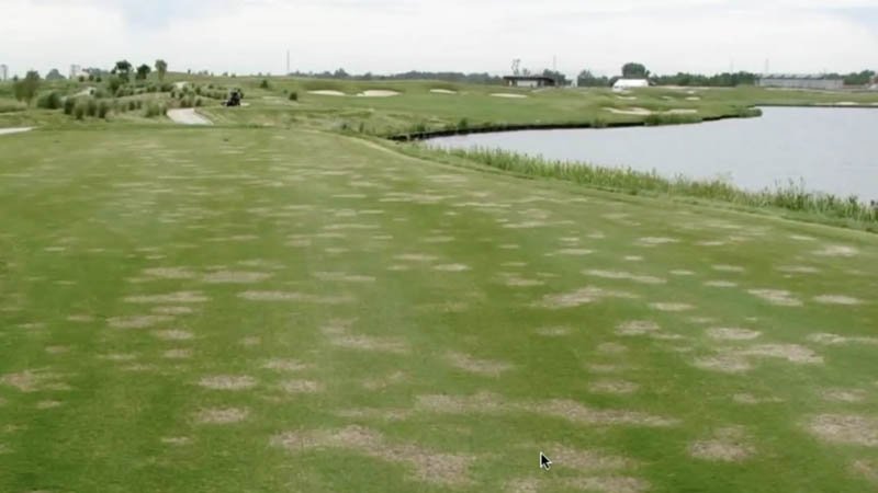 TurfNet Webinar archives make for perfect summertime viewing - News ...