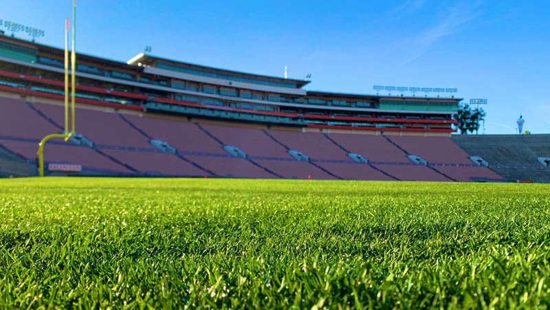 TurfNet takes on "The Granddaddy of Them All" - News - TurfNet