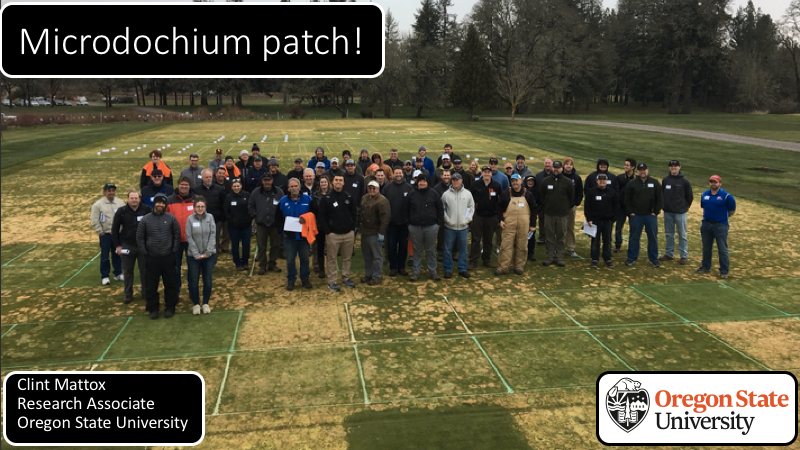Clint Mattox: Managing Microdochium patch on annual bluegrass putting ...