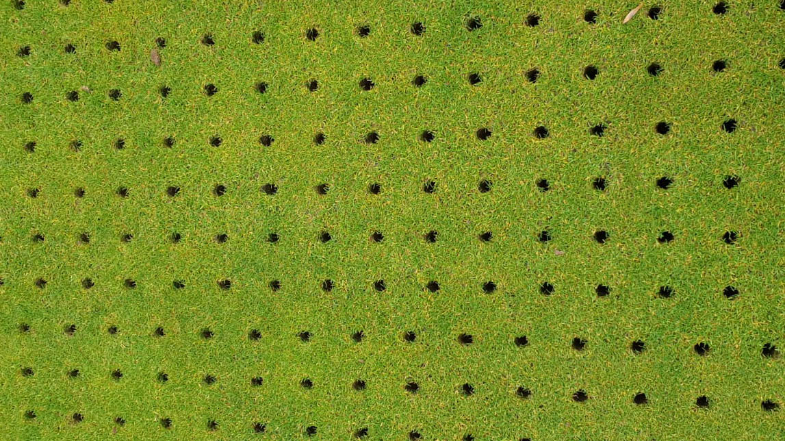 An age-old question - unanswered - News - TurfNet