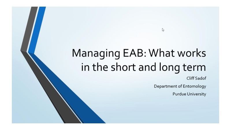 Managing EAB: What works in the short and the long term - Webinar ...