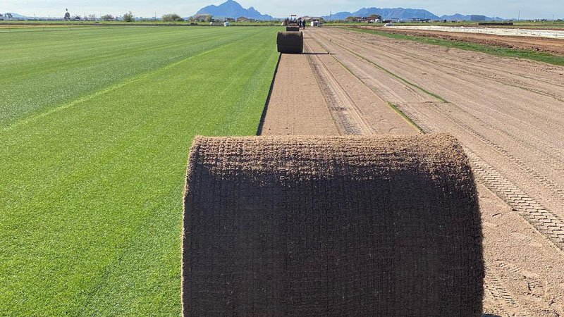 West Coast Turf brings sod on plastic to golf - News - TurfNet