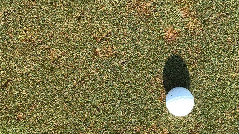 PoaCure gets the OK by California — finally - News - TurfNet