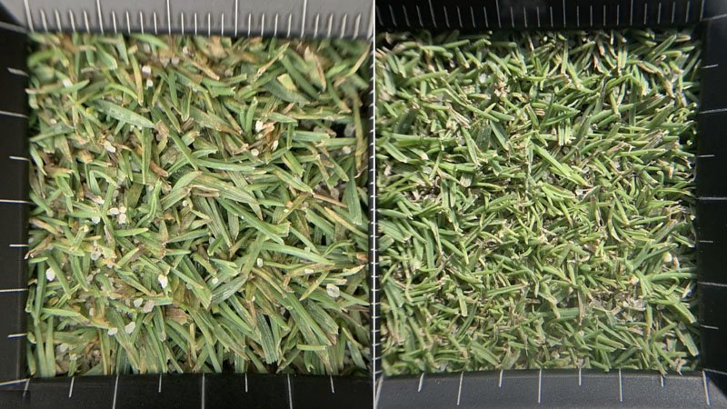 Former superintendent out to help turf managers dial in N rates - News ...