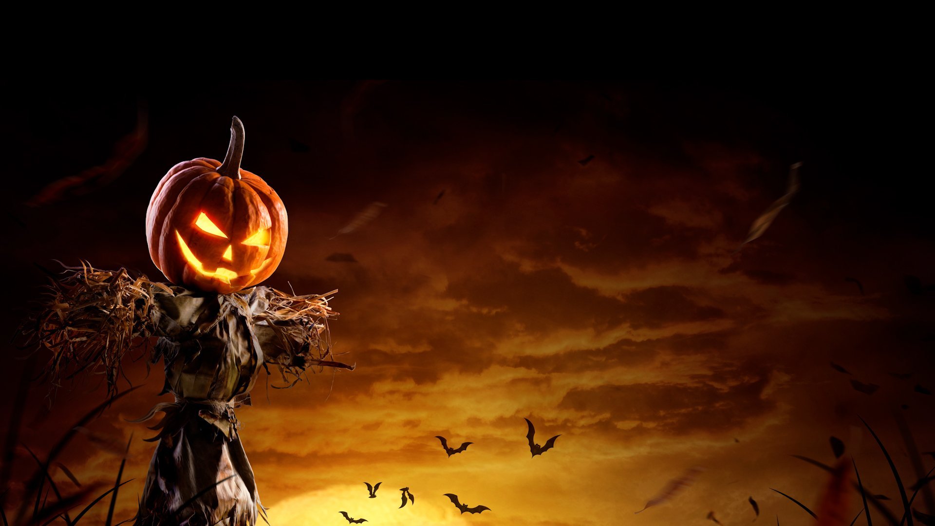 In The Back Of The Night - Randy Wilson, Here at the 'Rock - TurfNet