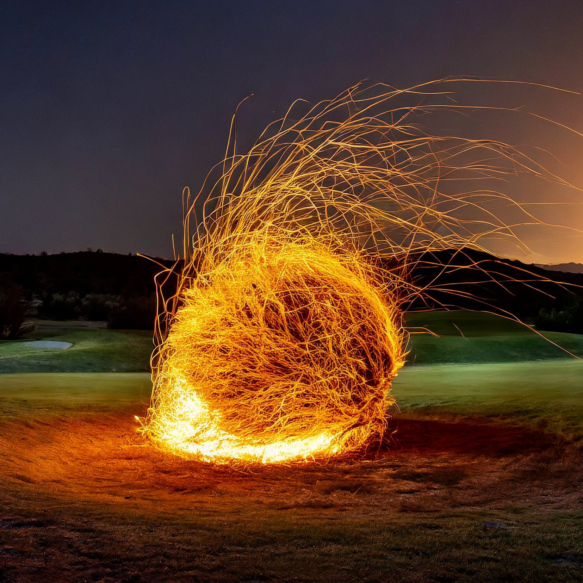Countering The Invasive Species - Randy Wilson, Here at the 'Rock - TurfNet