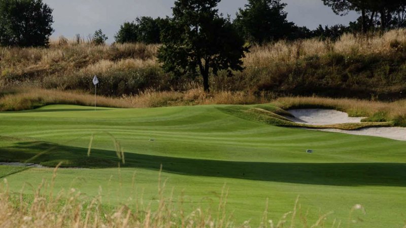 Pure-Seed, Atlas Turf introduce herbicide-resistant seeded paspalum ...