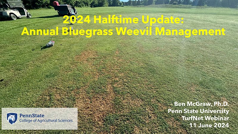 2024 Halftime update: Annual bluegrass weevil management - Webinar ...
