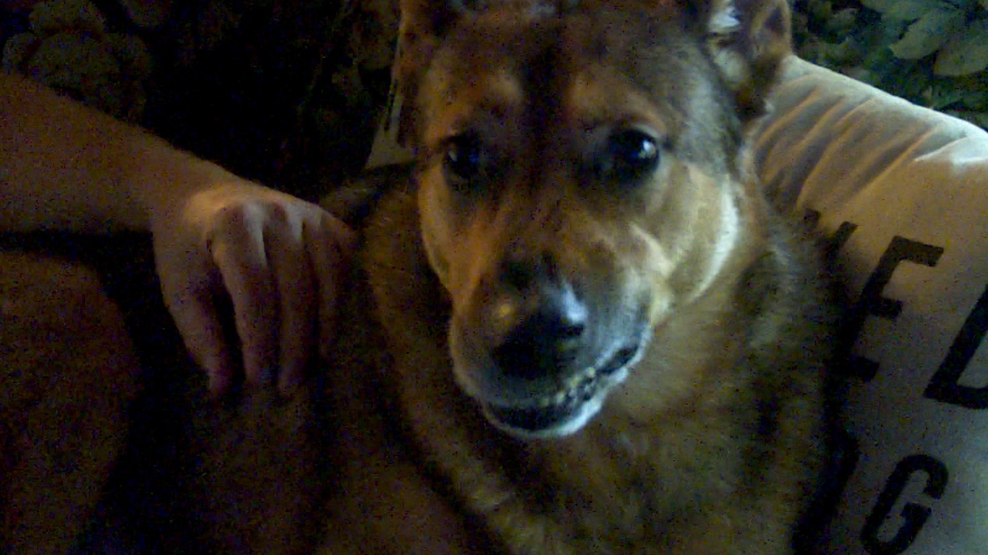 Are You A "Soft" Man? - Randy Wilson, Here at the 'Rock - TurfNet