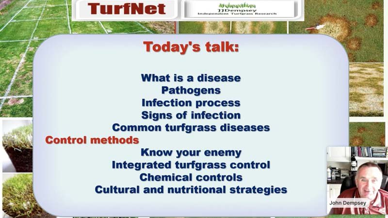 Identification and diagnosis of turfgrass diseases - Webinar Archives ...