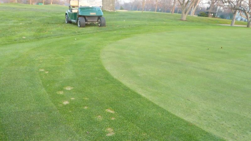 Microdochium patch season has a wide window of opportunity - News - TurfNet