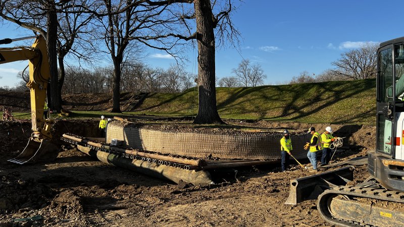 It helps to have an ally when developing a tree-management plan - News ...