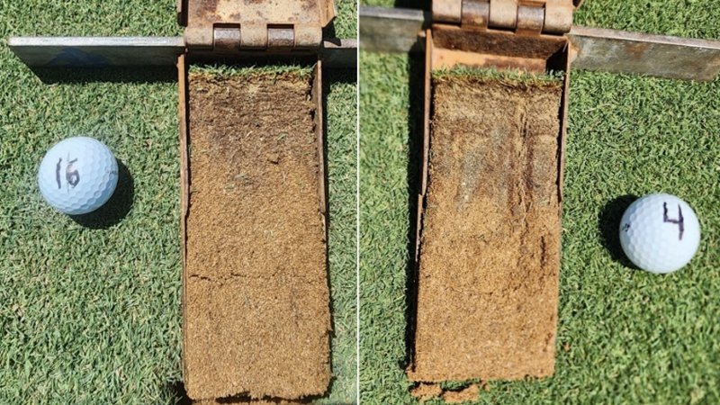 Sprayable laccase enzyme offers help in thatch management - News - TurfNet